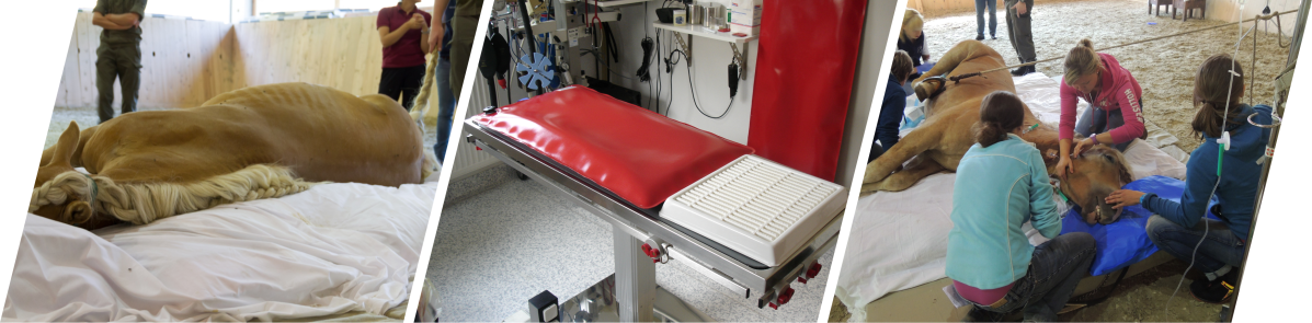 VetVac – Kohlbrat & Bunz